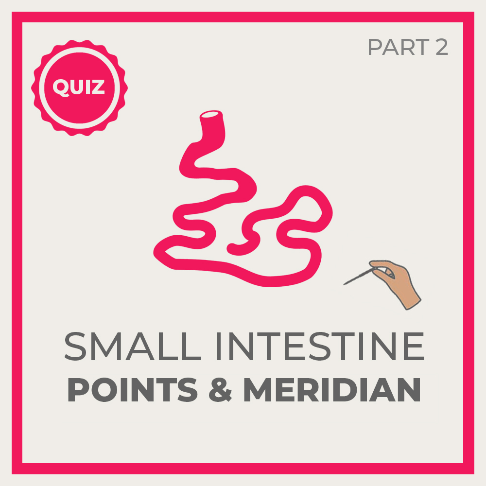 Small Intestine Channel Quiz Pt.2 - TCM STUDY GUIDE