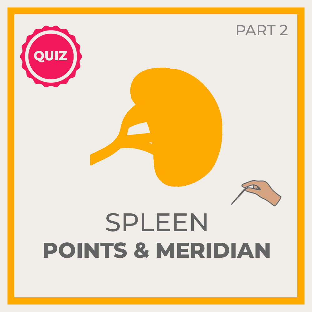 Spleen Channel Quiz Pt.2 - TCM STUDY GUIDE